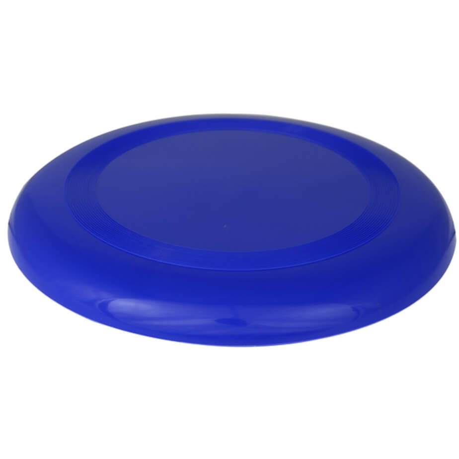 Fun Frisbee | Brandability